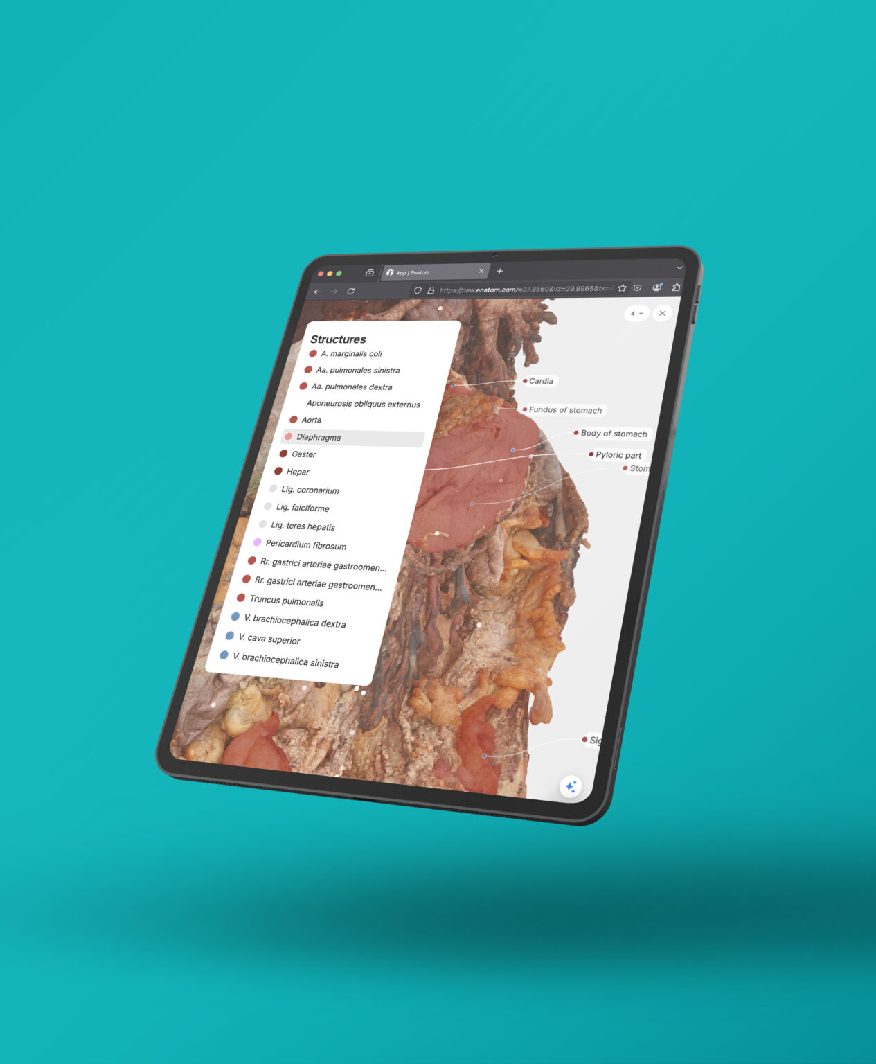 Enatom-homepage - Enatom